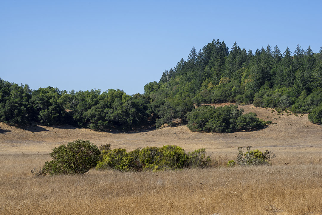 Trione-Annadel State Park Road and Trail Management Plan