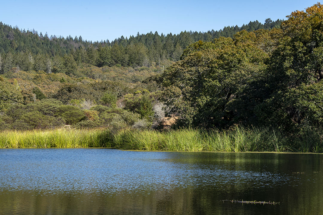 Trione-Annadel State Park Road and Trail Management Plan