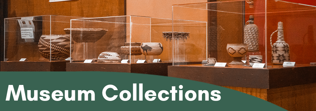 Museum Collections