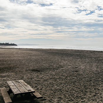 Cardiff State Beach | Special Events