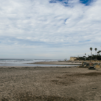 Cardiff State Beach | Special Events