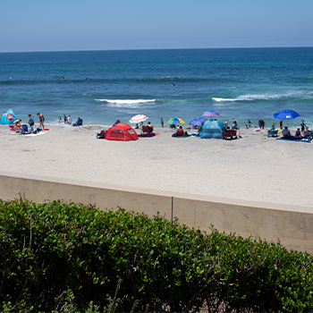 Carlsbad State Beach | Special Events