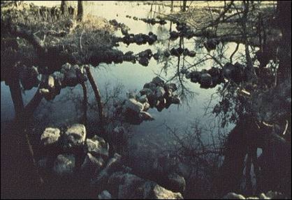 Stone Fish Traps