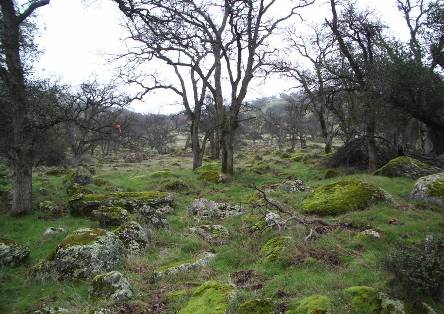 Sutter Buttes Landscape Gallery