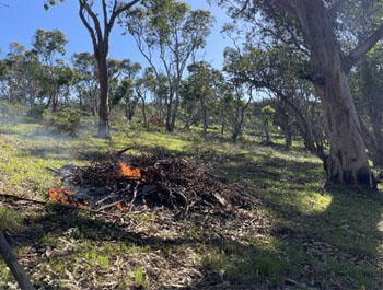 Prescribed Fire Information