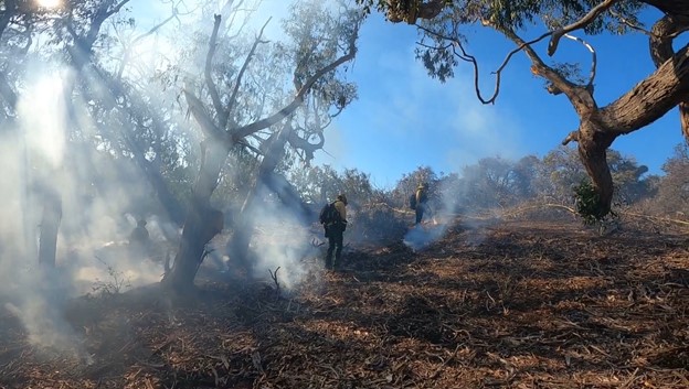 Prescribed Fire Information