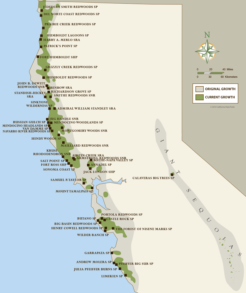California Coastal Redwood Parks