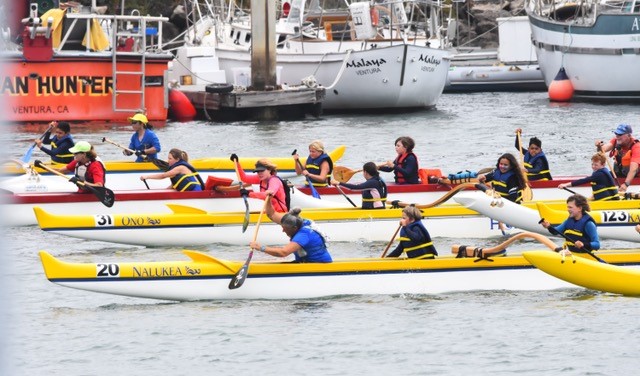 Ventura Junior Lifeguards