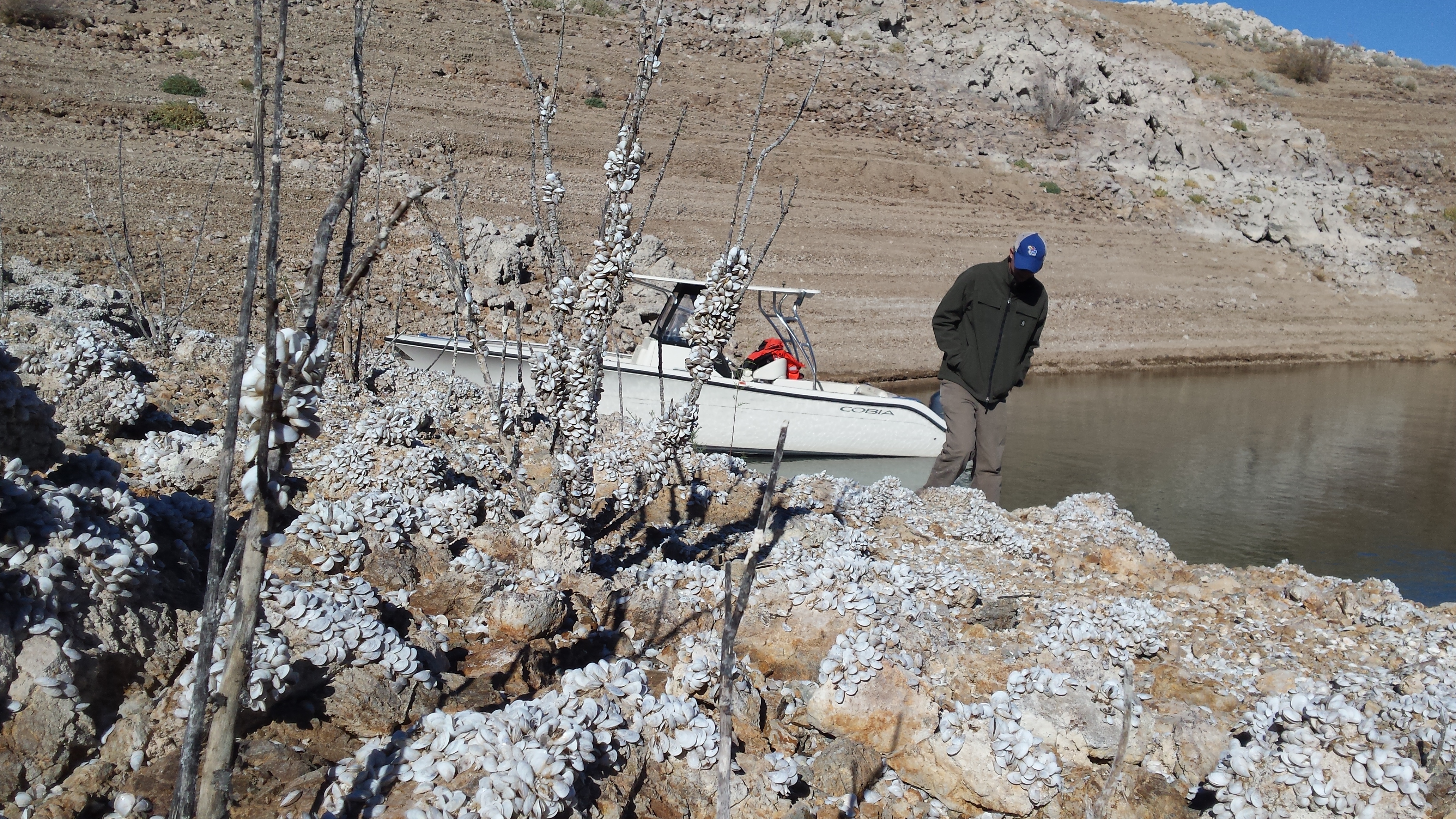 Quagga and Zebra Mussel Infestation Prevention Grant Program