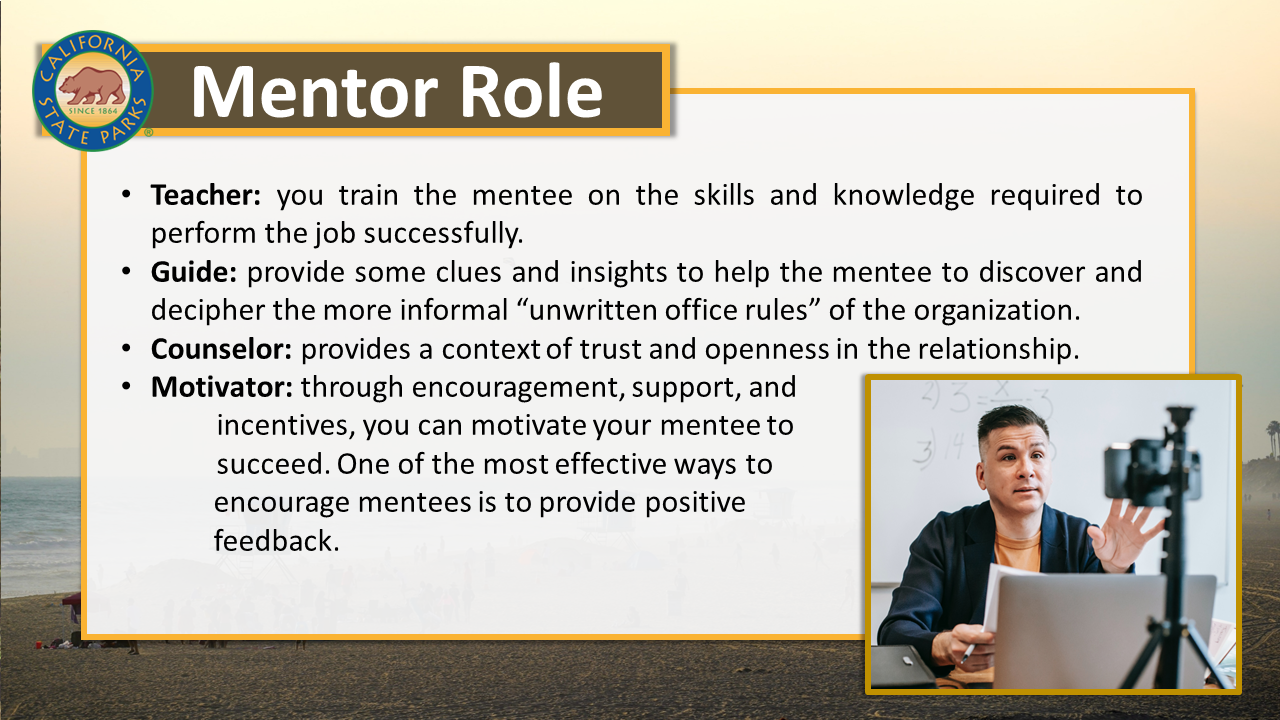 Mentorship Program