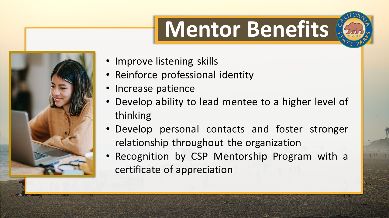 Mentorship Program
