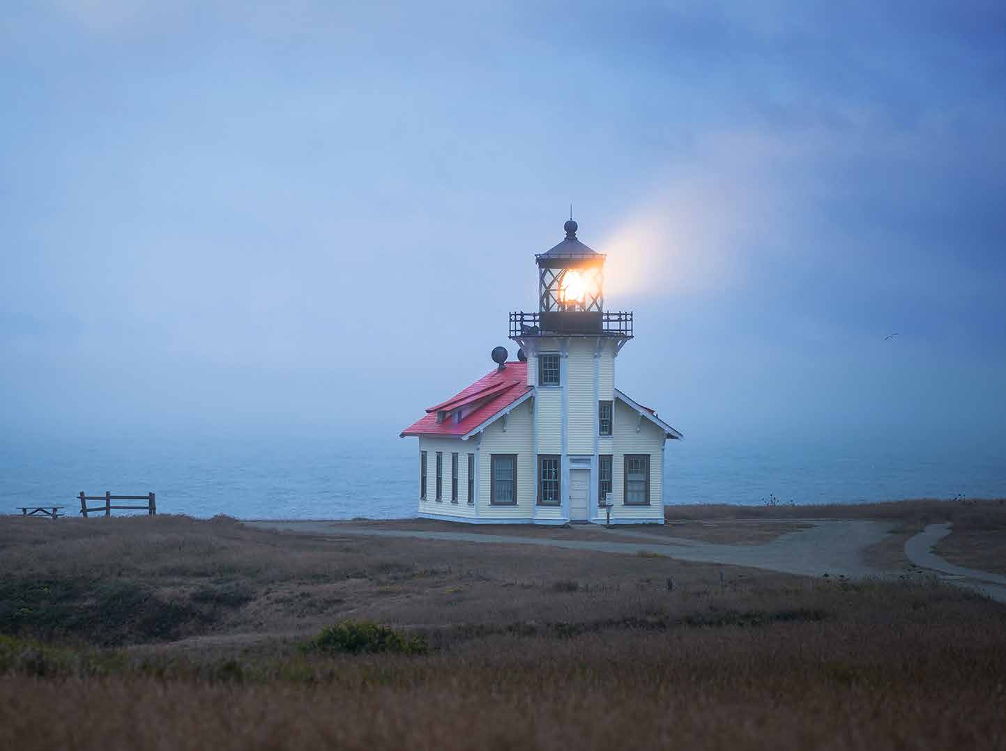 Path Forward Strategic Plan