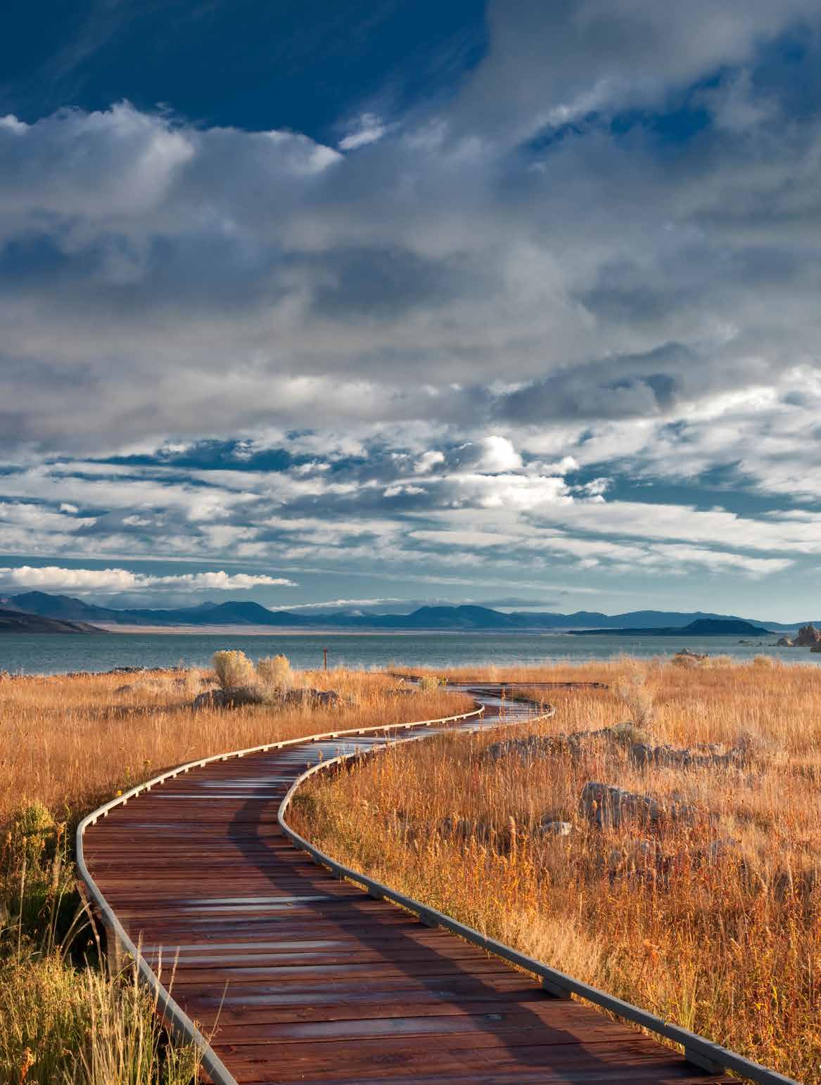 Path Forward Strategic Plan