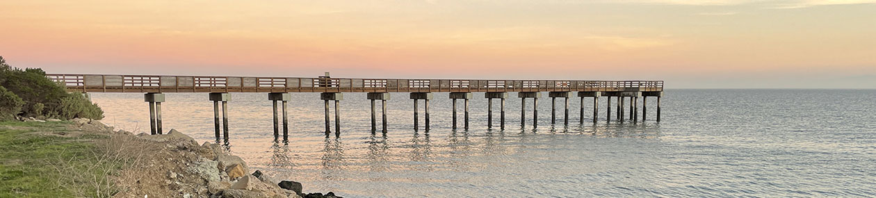 Candlestick Stories: An Oral History