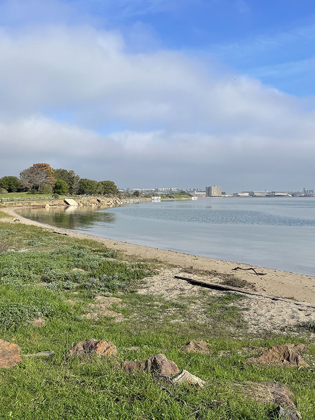 Candlestick Stories: An Oral History