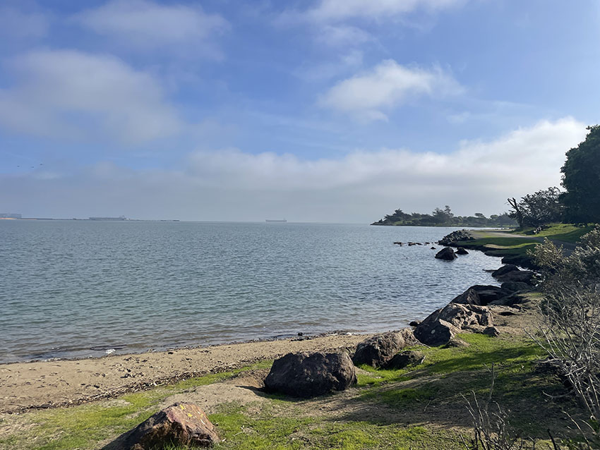 Candlestick Stories: An Oral History