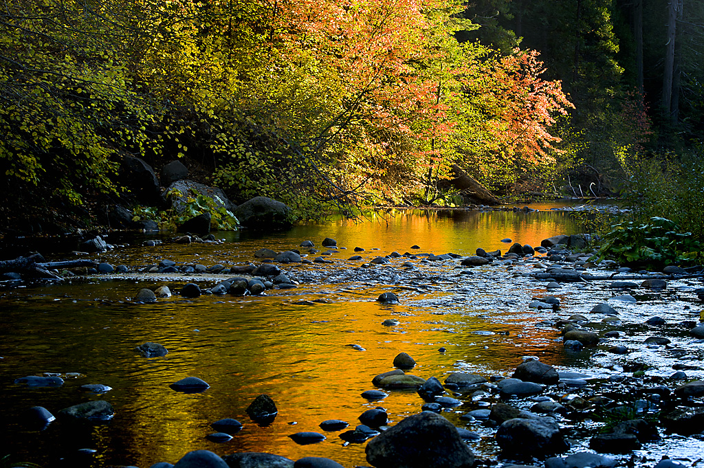 Photography & Film Information