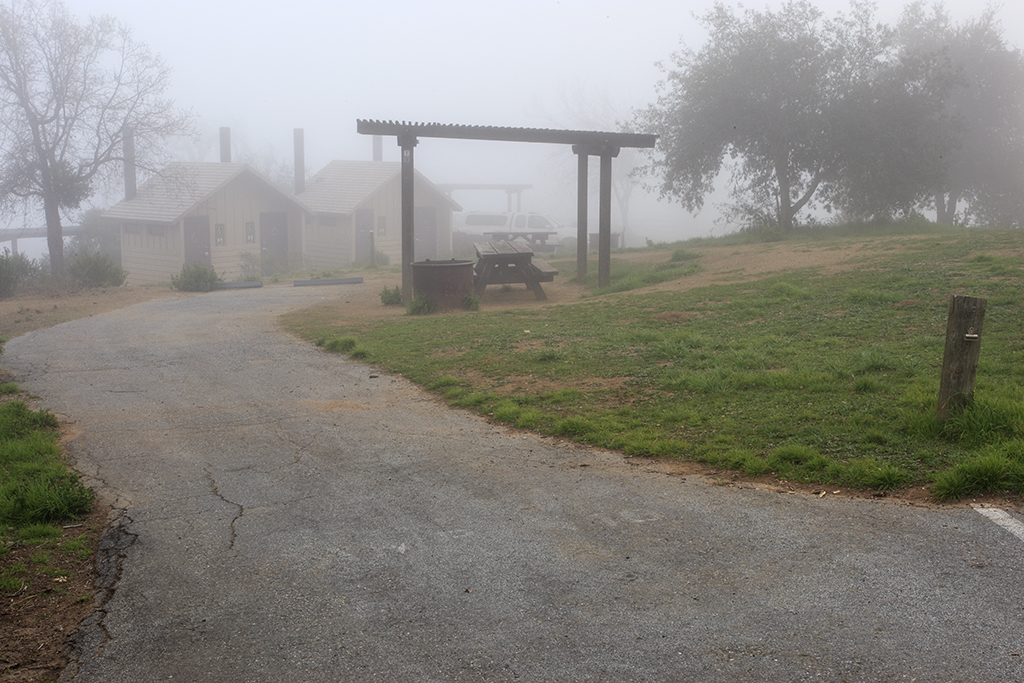 CR19 - Standard Primitive