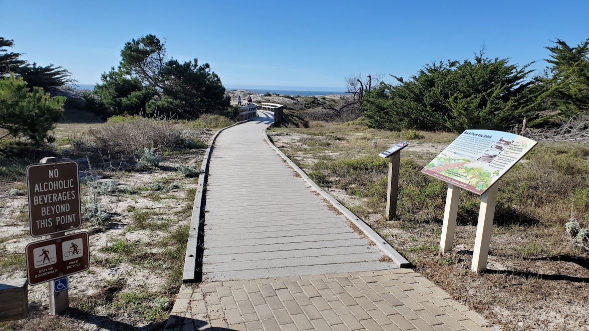Asilomar Dunes Natural Preserve