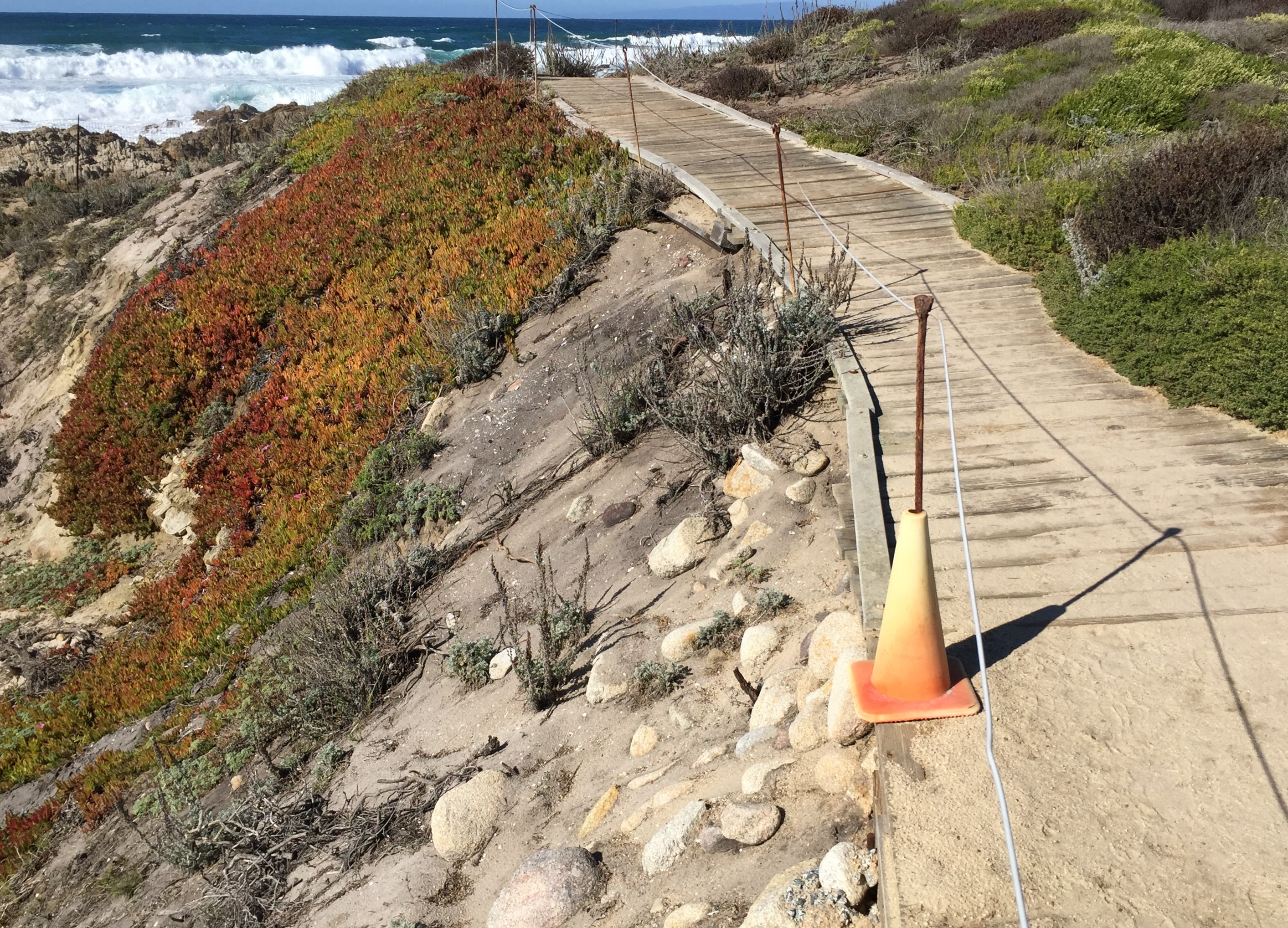 Asilomar Coast Trail: Current Project Description