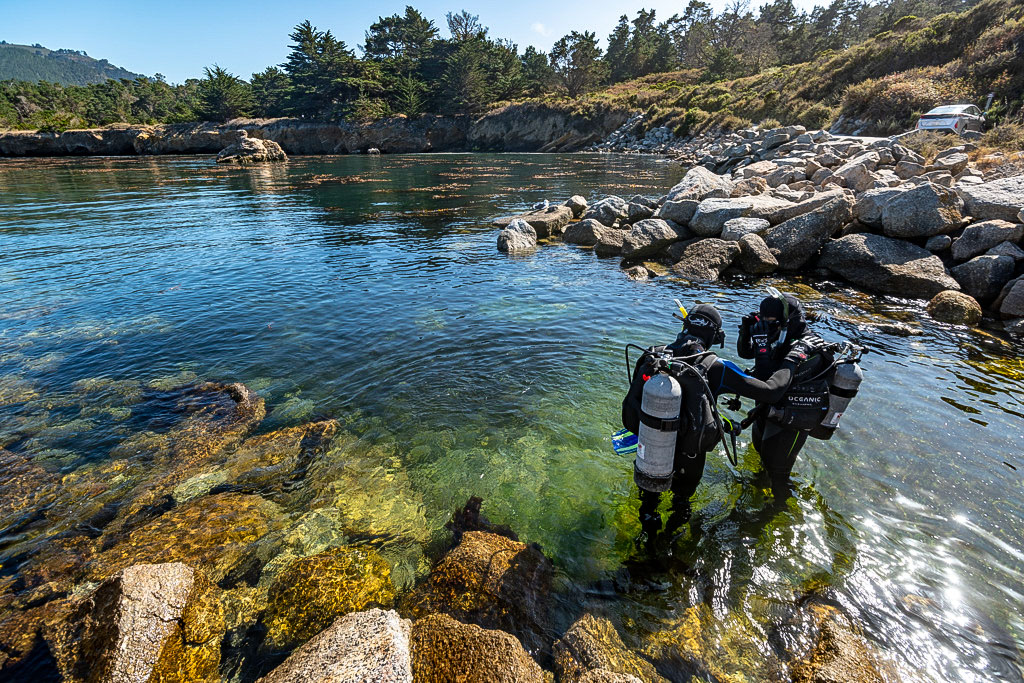 Point Lobos State Natural Reserve