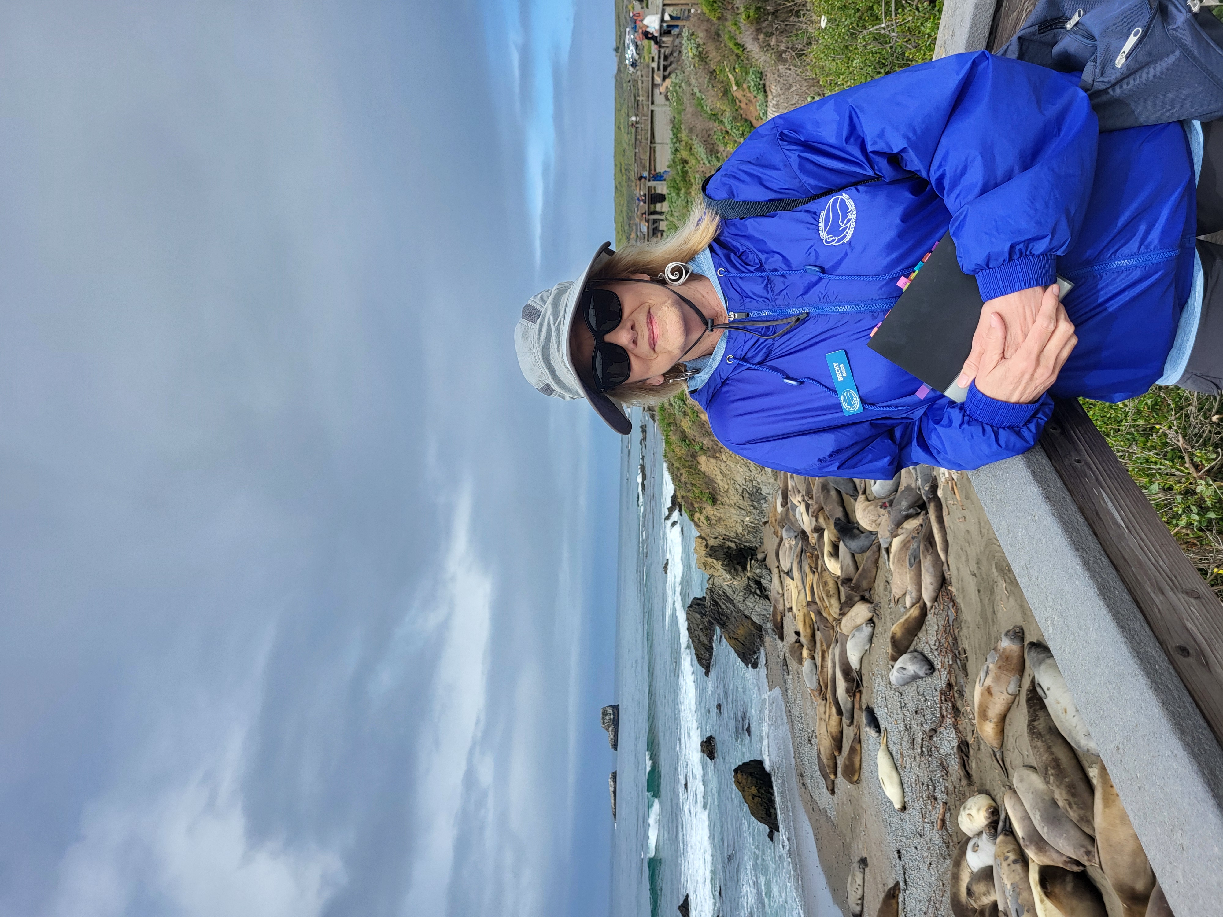 Elephant Seal Docent Program