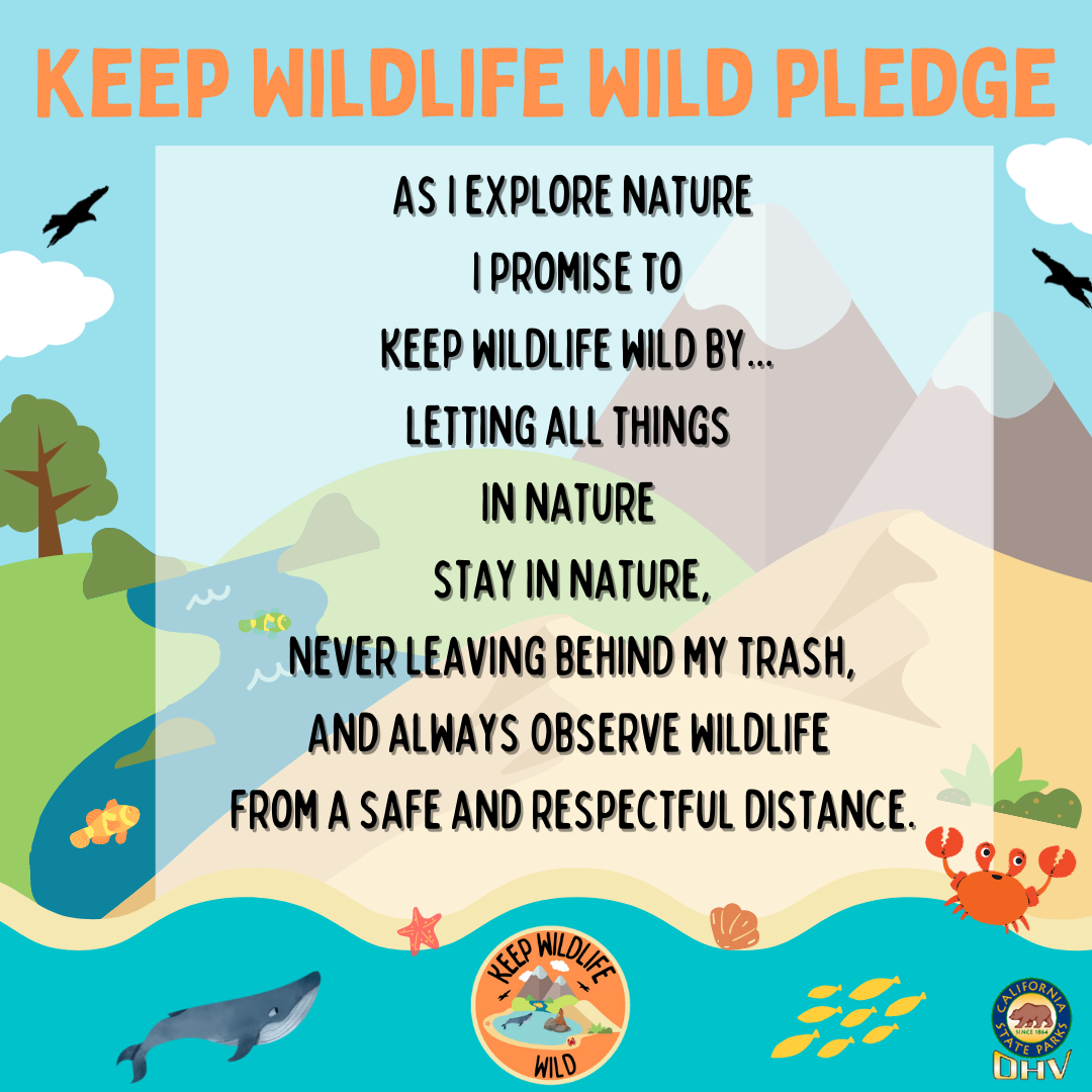 Keep Wildlife Wild