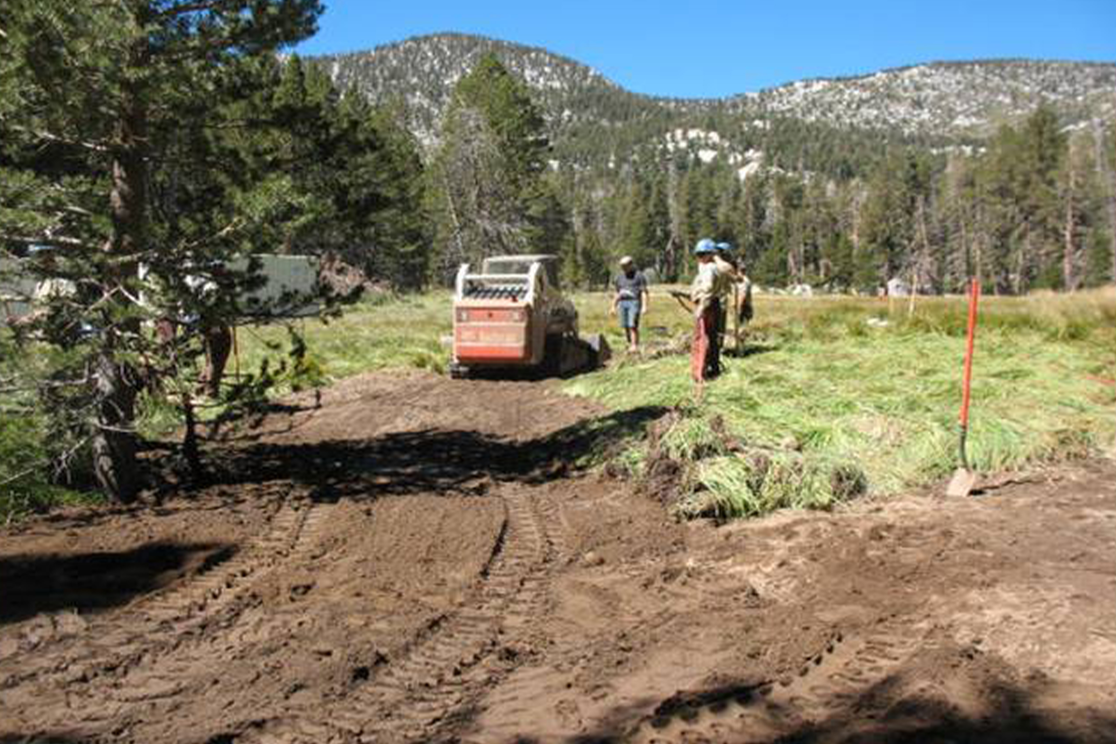 Round Valley Meadow Restoration Project