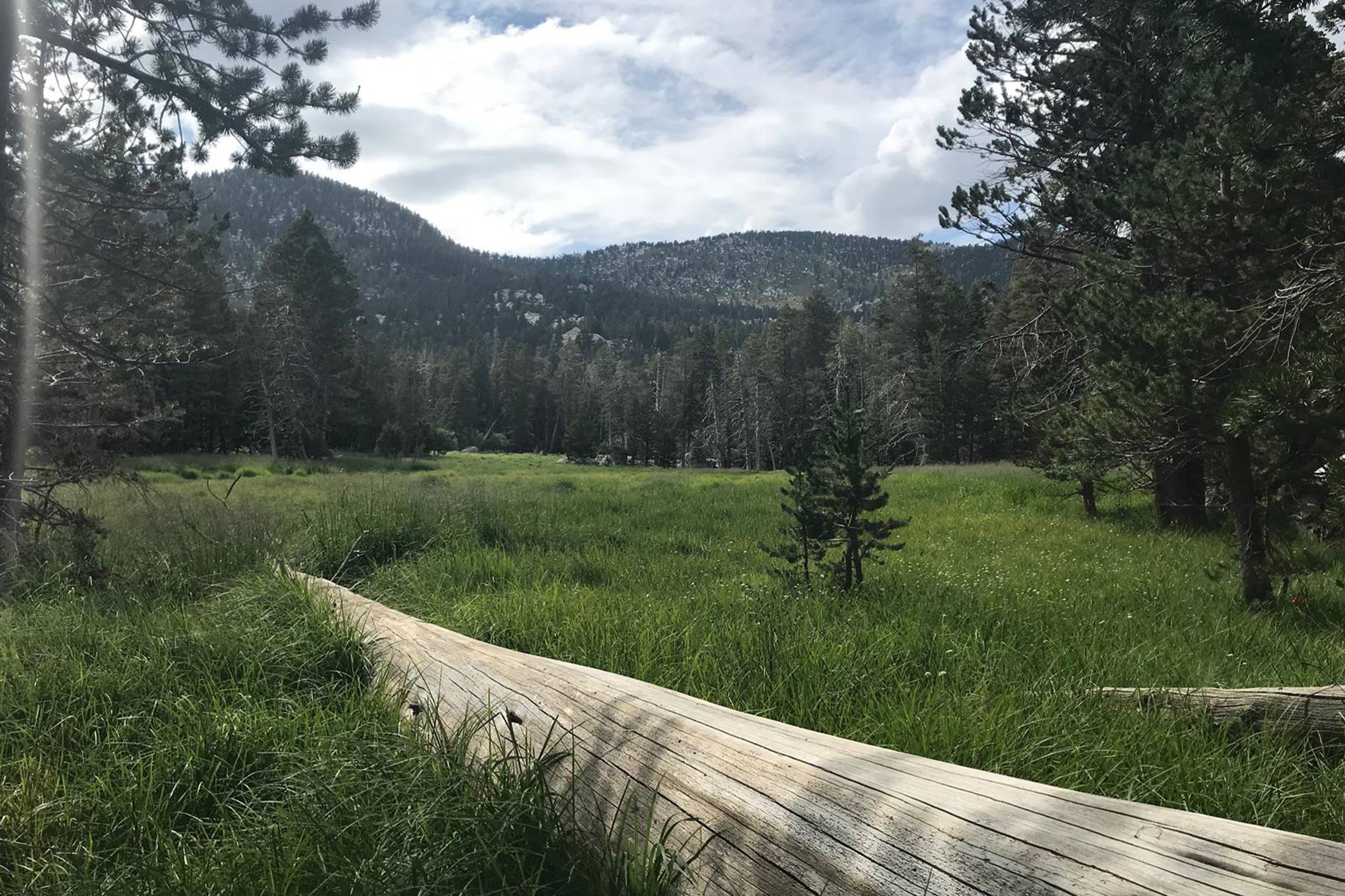 Round Valley Meadow Restoration Project