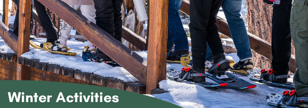 Winter Activities