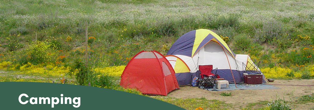 Rolling M. Ranch Campgrounds