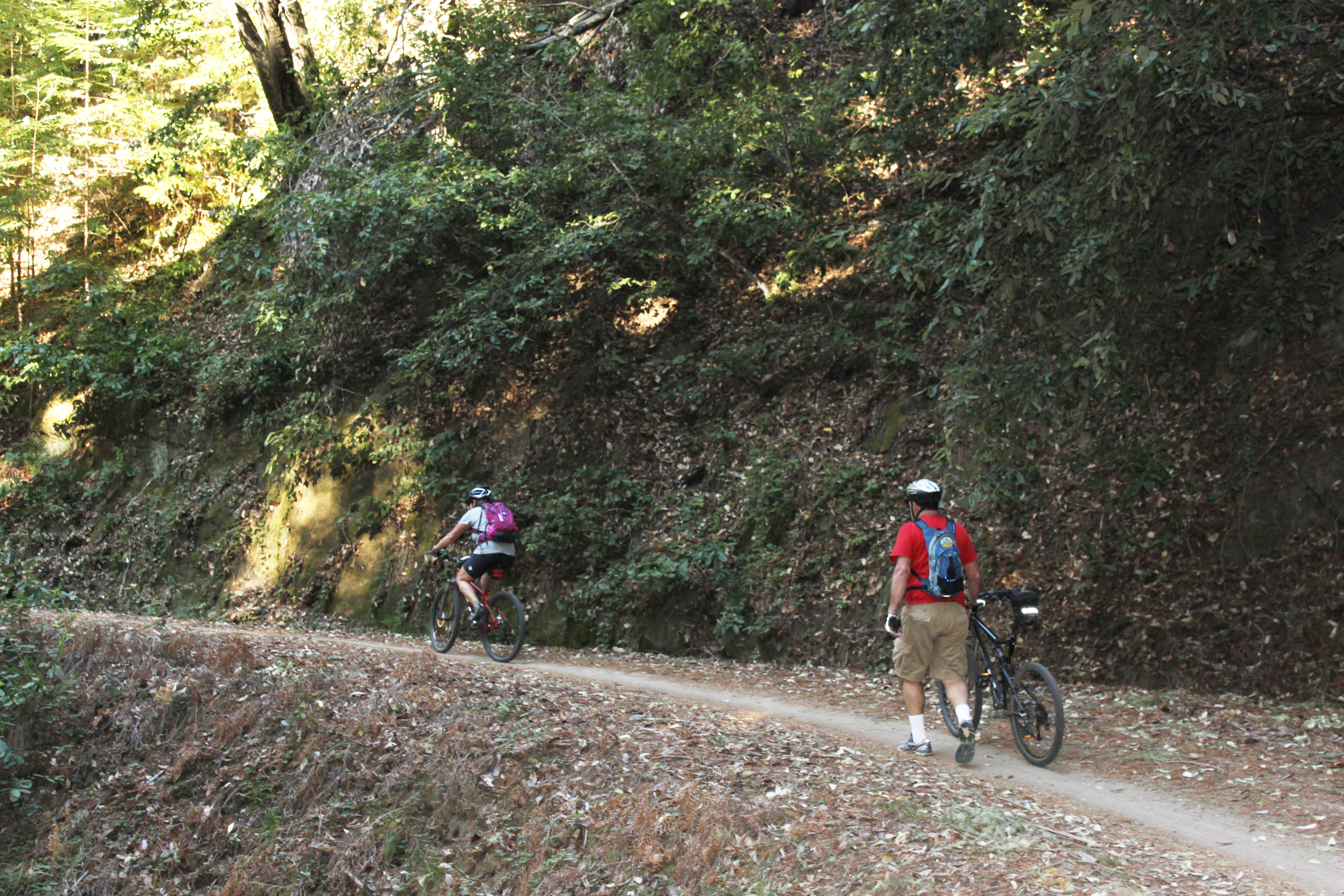 Bicycling