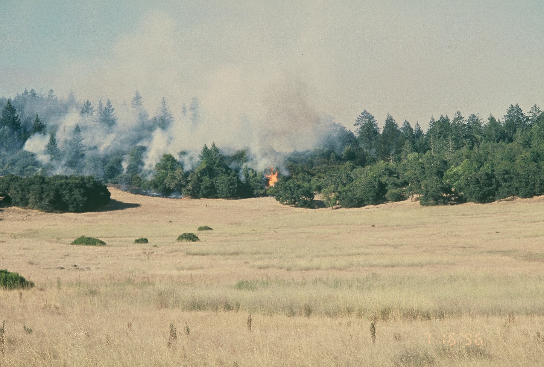 Prescribed Fire Videos & Media