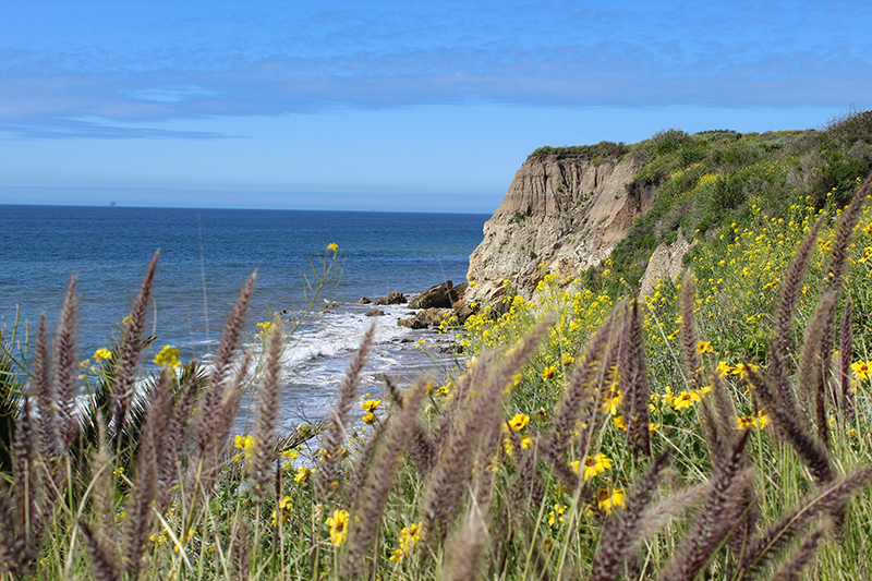 Filming — Channel Coast District