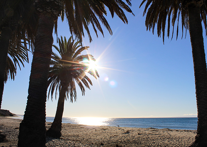 Filming — Channel Coast District